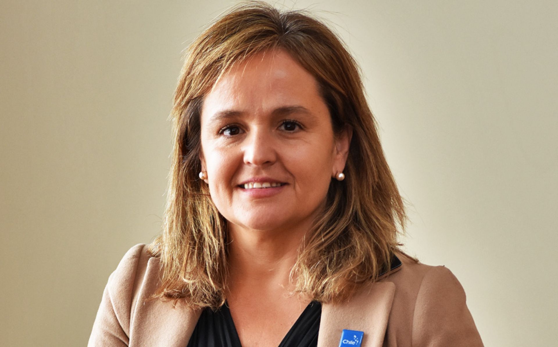 Publimark.cl - Nueva directora ejecutiva en Imagen de Chile