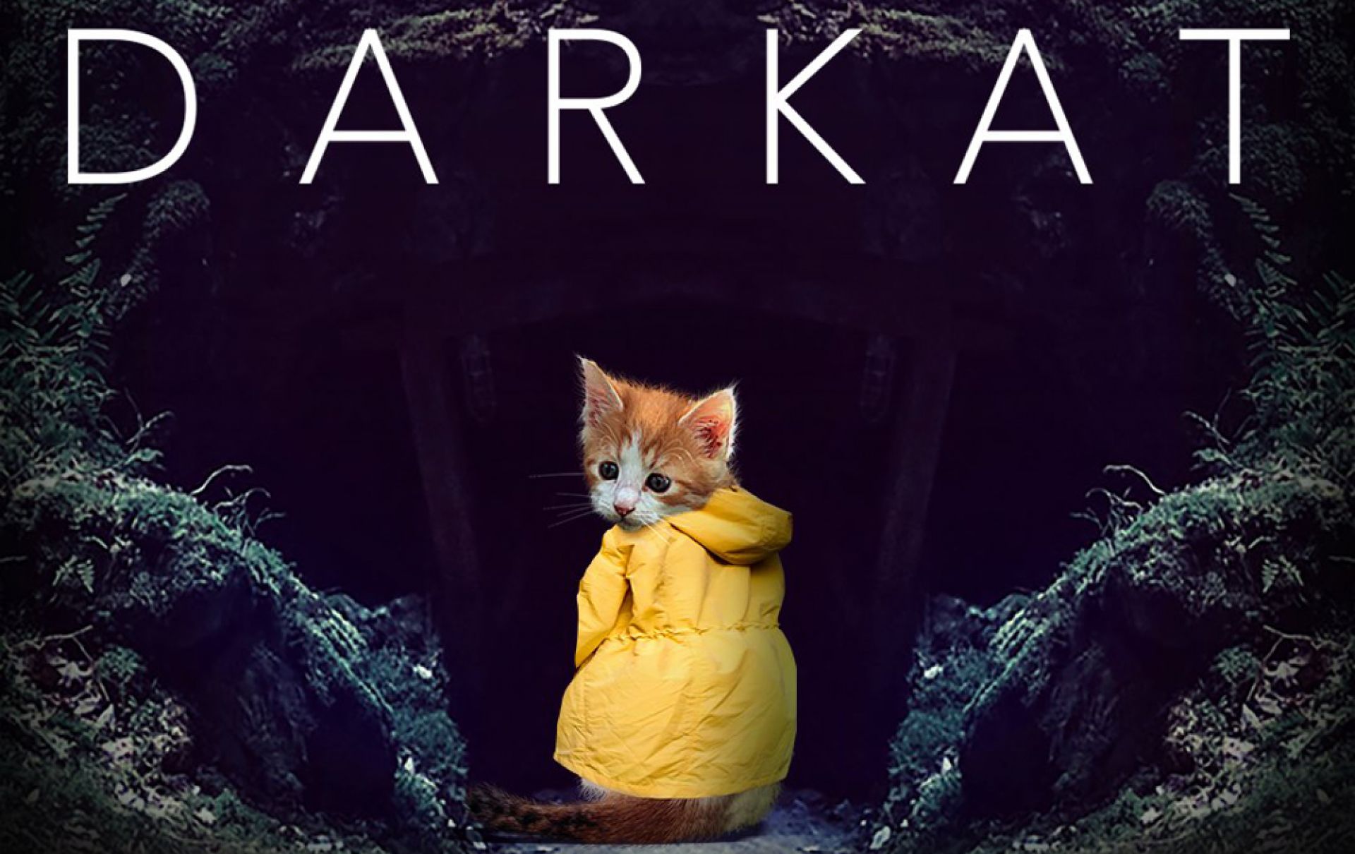 Catflix Netflix